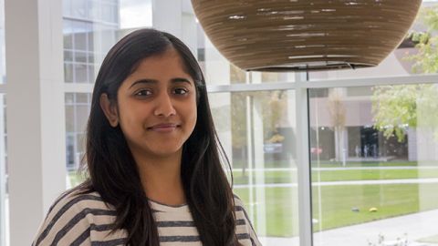 Software Development Teams at MathWorks - MATLAB & Simulink