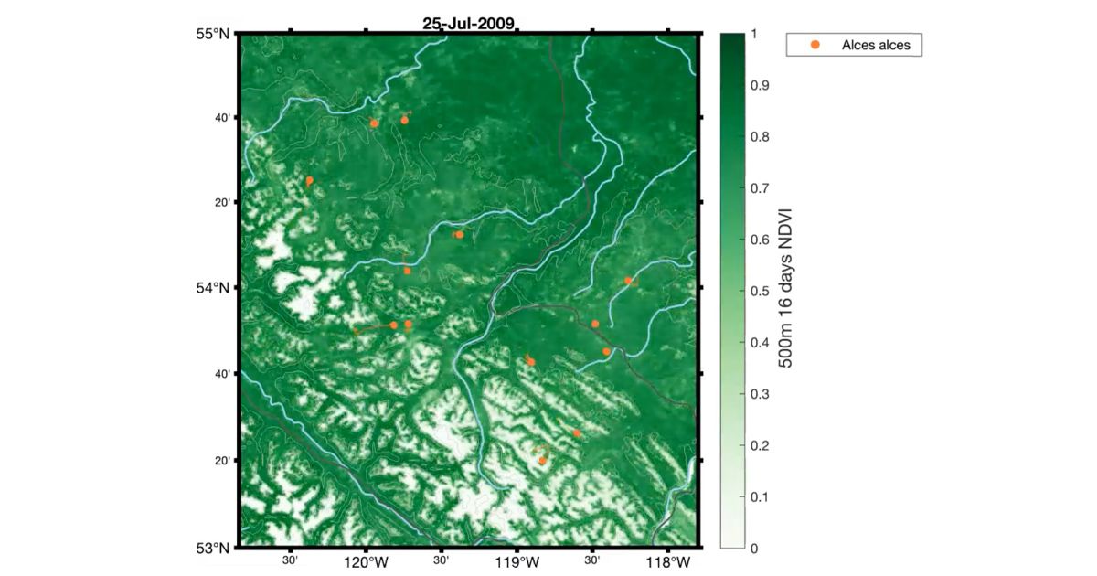 Open-Source App Tracks and Maps Animal Movement - MATLAB & Simulink