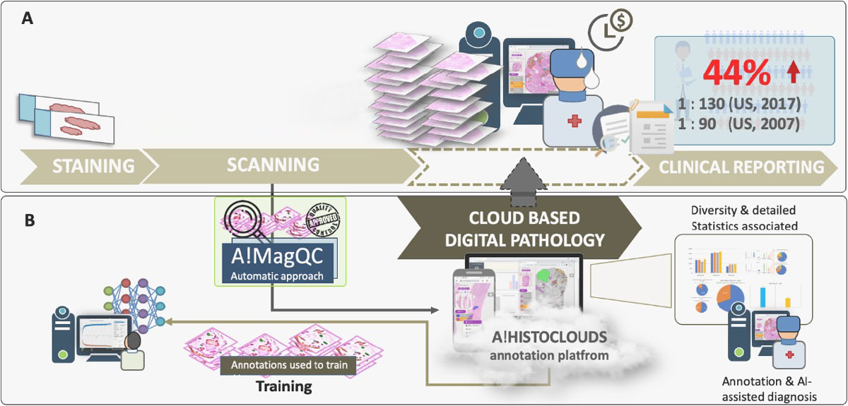 Supporting Deep Learning–Assisted Pathology Diagnoses - MATLAB & Simulink