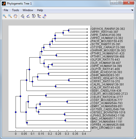 prune - Remove branch nodes from phylogenetic tree - MATLAB