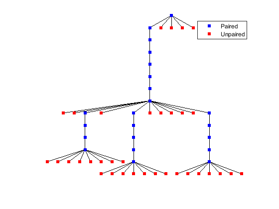 Predicting And Visualizing The Secondary Structure Of Rna Sequences Matlab And Simulink