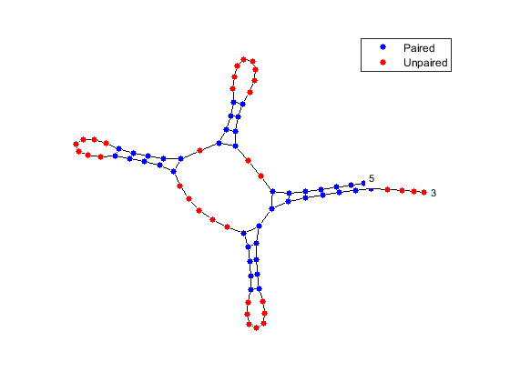 Predicting And Visualizing The Secondary Structure Of Rna Sequences Matlab And Simulink