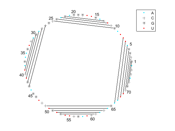 Predicting And Visualizing The Secondary Structure Of Rna Sequences Matlab And Simulink