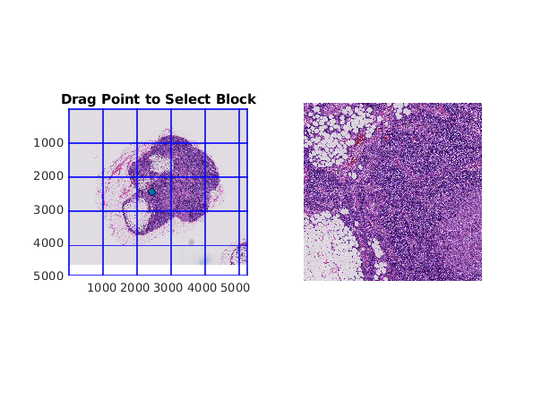 getBlock - (To be removed) Read block of bigimage object - MATLAB
