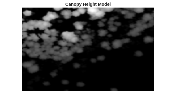 Extract Individual Tree Attributes and Forest Metrics from Aerial Lidar ...