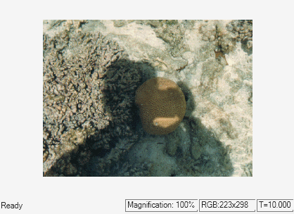 Enhance Contrast of Color Image Using Histogram Equalization - MATLAB ...