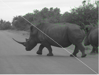 Corner Detector - Find corners using FAST or Harris algorithm - Simulink