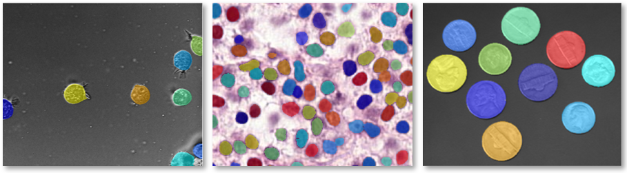 Getting Started with Cellpose - MATLAB & Simulink