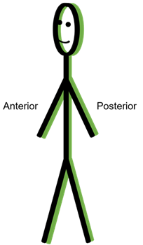 Medical Image Coordinate Systems - MATLAB & Simulink