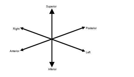 Medical Image Coordinate Systems - MATLAB & Simulink