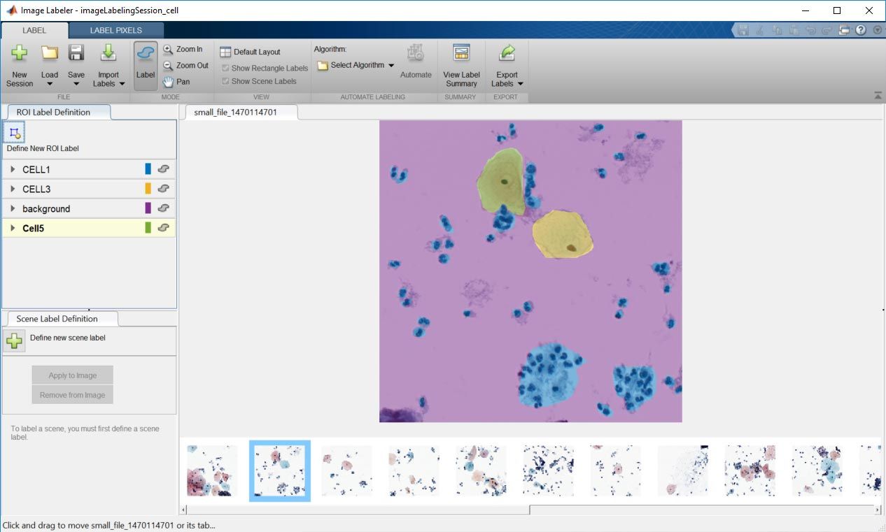 Microscopy - Biological Sciences - MATLAB and Simulink Solutions ...